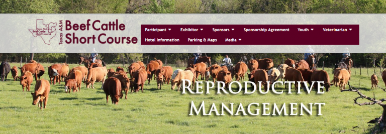 2018 TAMU Beef Cattle Short Course - The Fat Rancher
