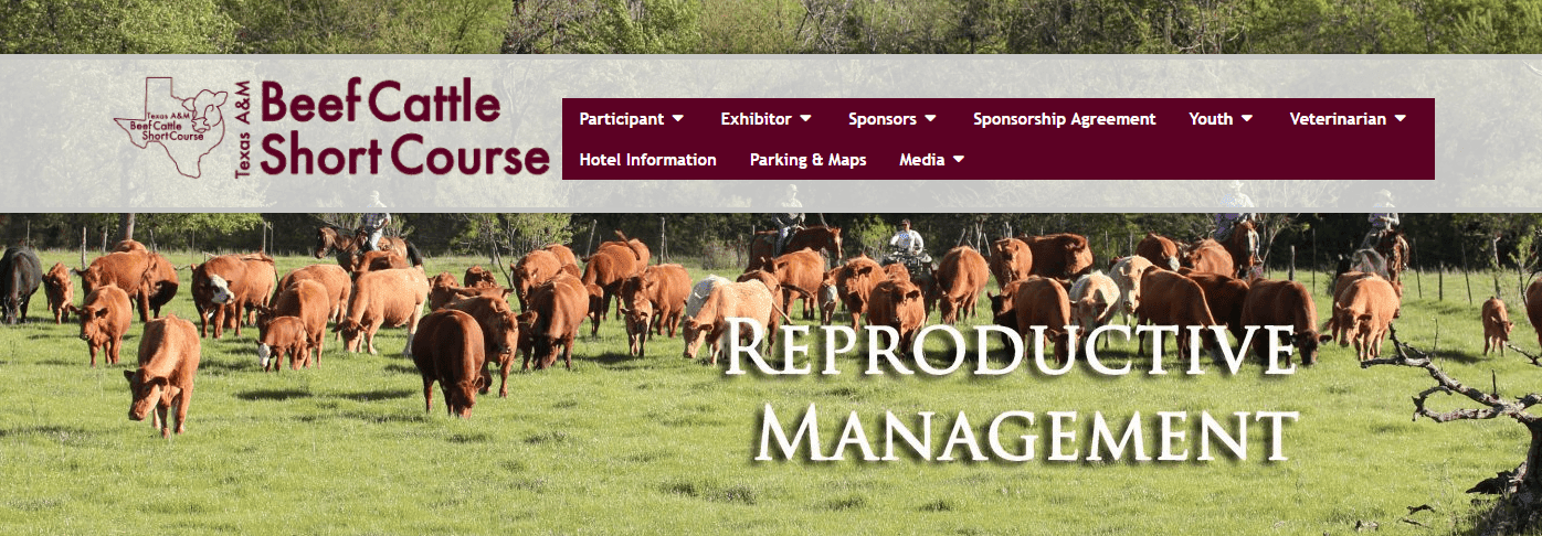 2018 TAMU Beef Cattle Short Course - The Fat Rancher