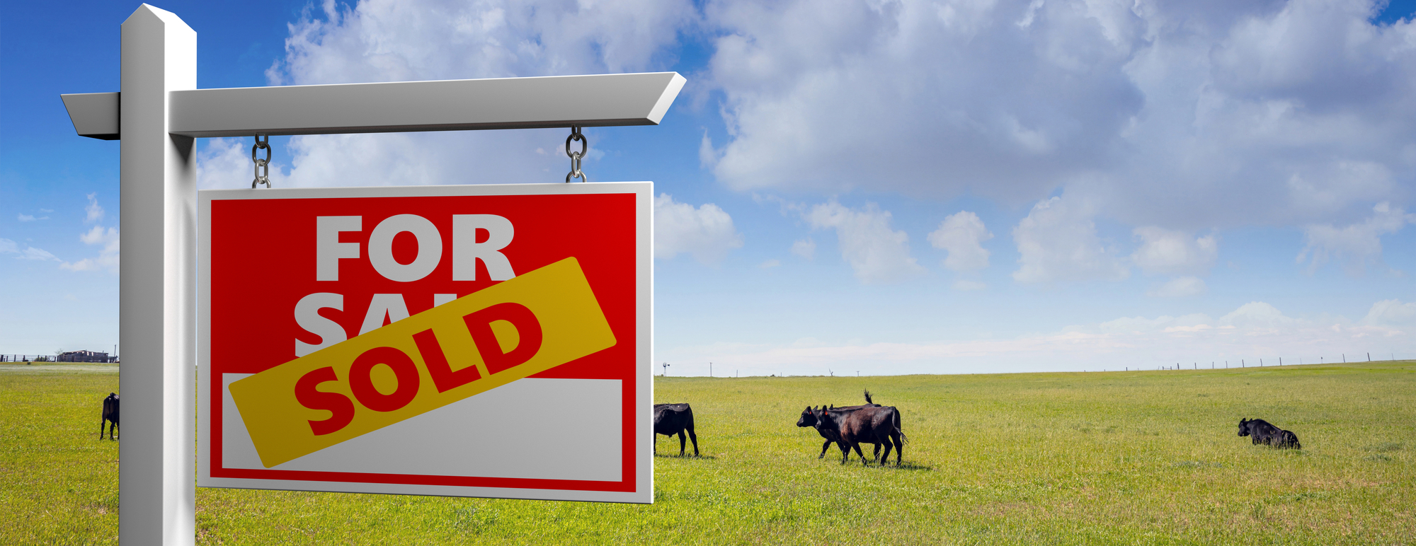 Choosing a Homestead Property - The Fat Rancher